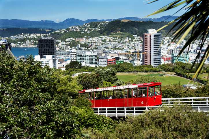 Zero carbon accelerator aimed at small business in Wellington ...